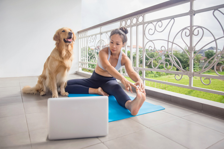 Virtual Physical Therapy in New Jersey | Twin Boro Physical Therapy ...